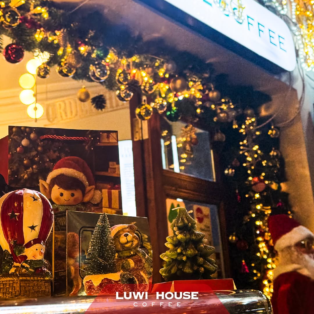 Luwi House Coffee | Kadıköy - Ataşehir | Bir Kahveden Fazlası